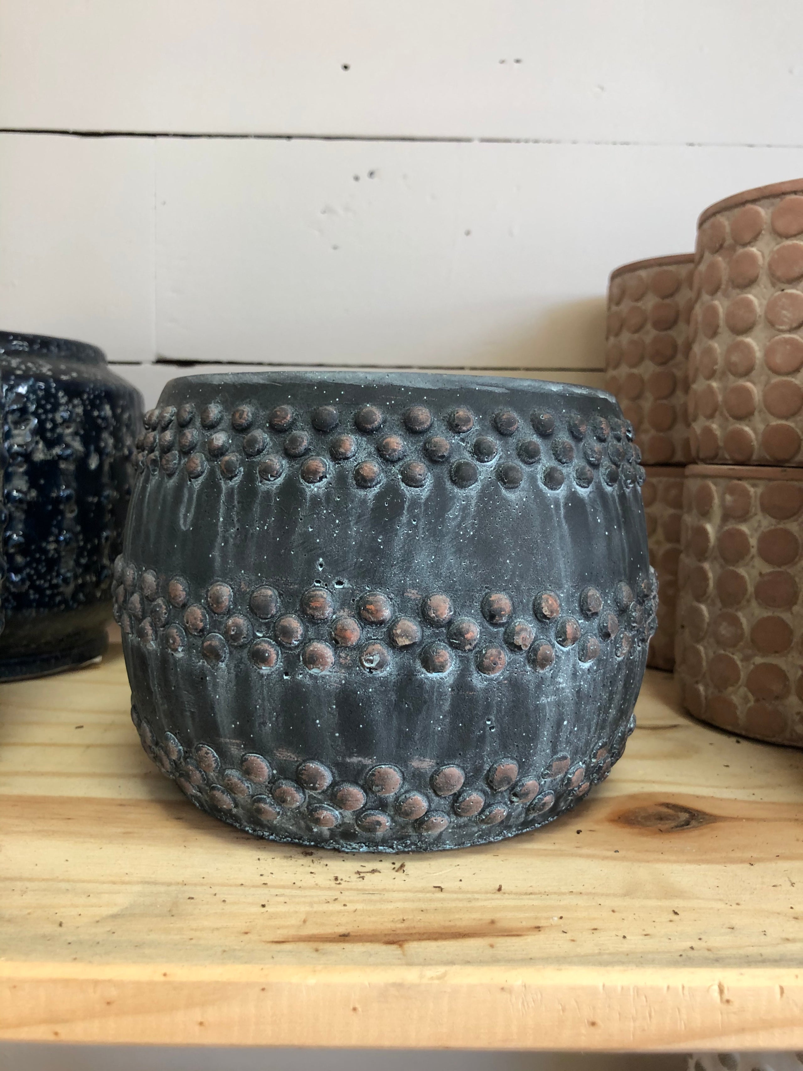 Drum pot | A Modern Plantsman