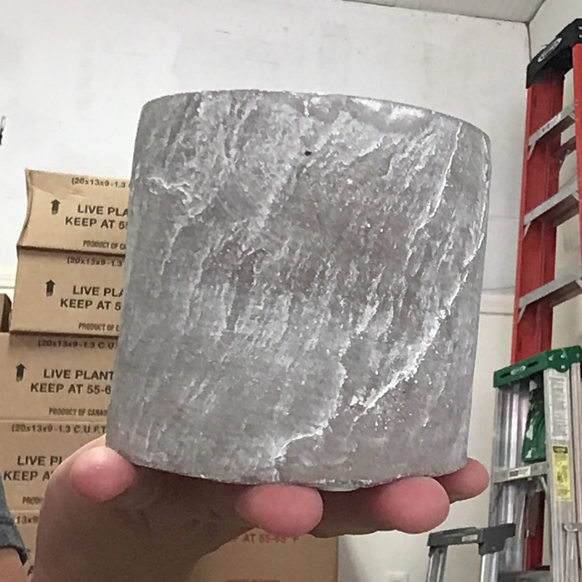 Stone Wash Cylinder | A Modern Plantsman