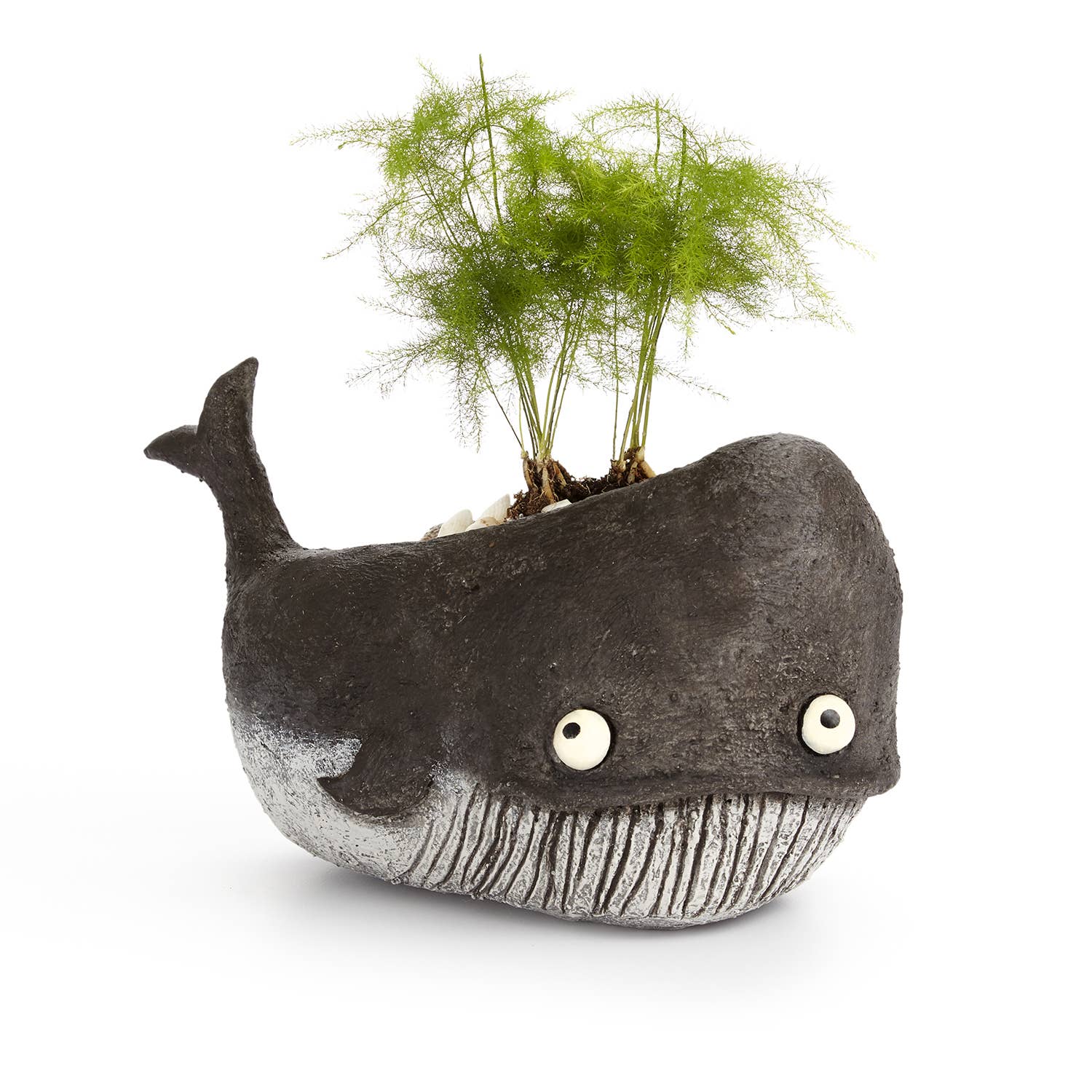 Cohasset Gifts - Goliath Whale Blobhouse Planter | A Modern Plantsman