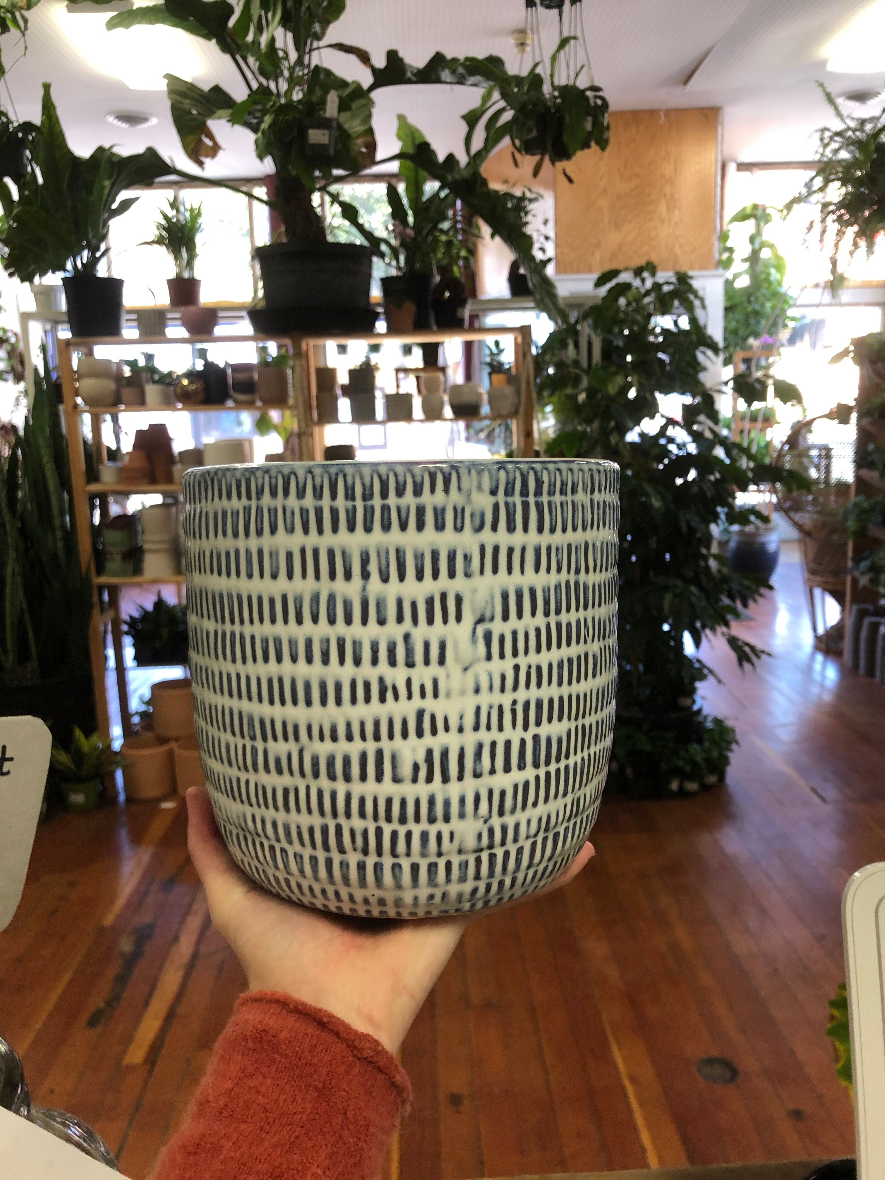 Jupiter Pot | A Modern Plantsman