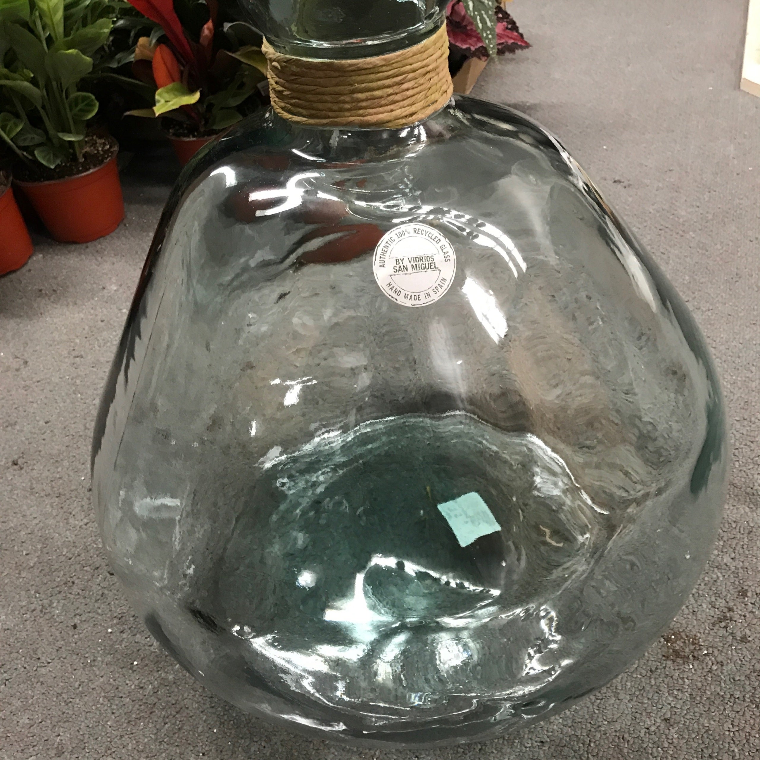 Large Glass Terrarium Green Blue | A Modern Plantsman