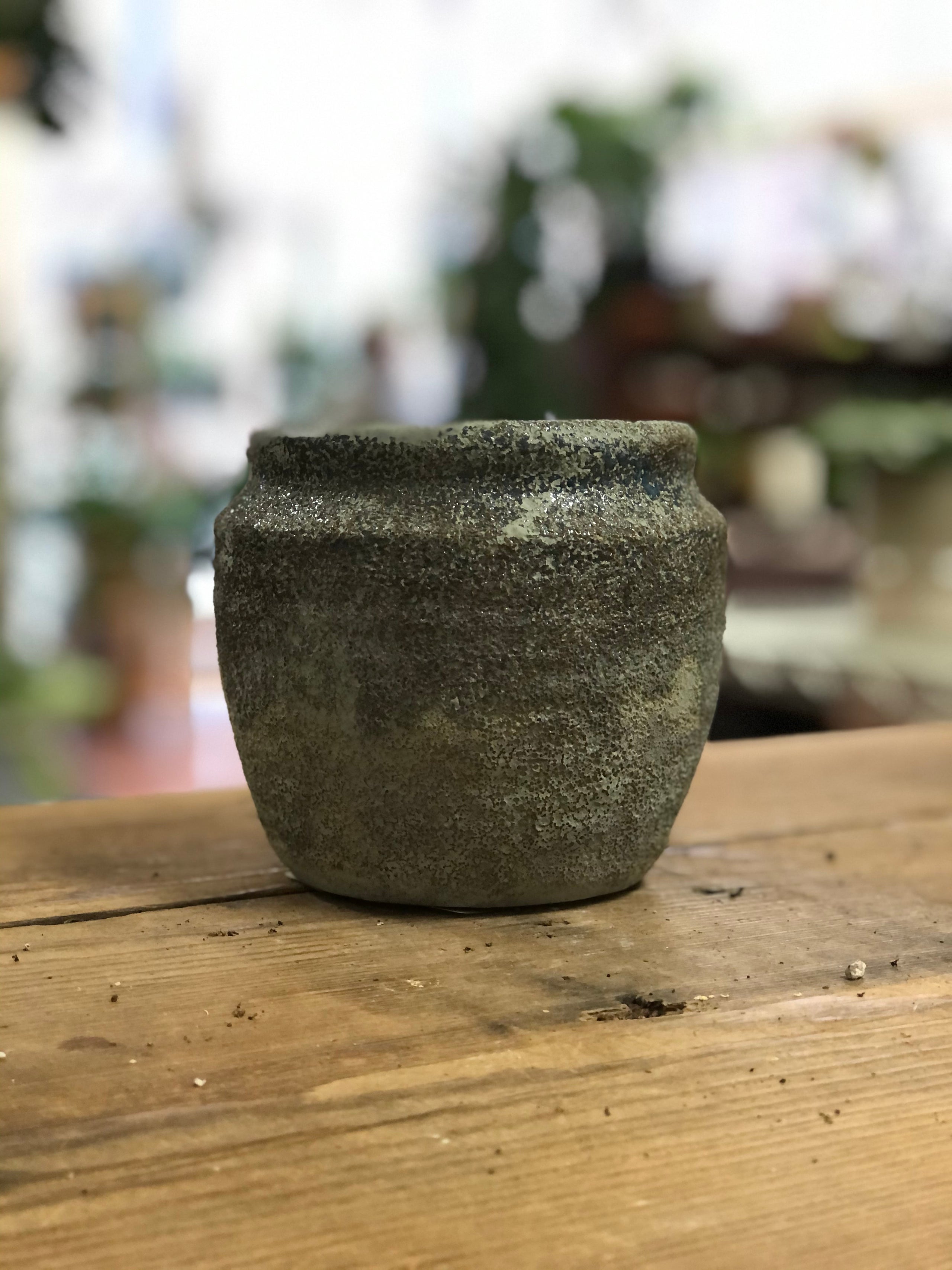 Earthy pot | A Modern Plantsman