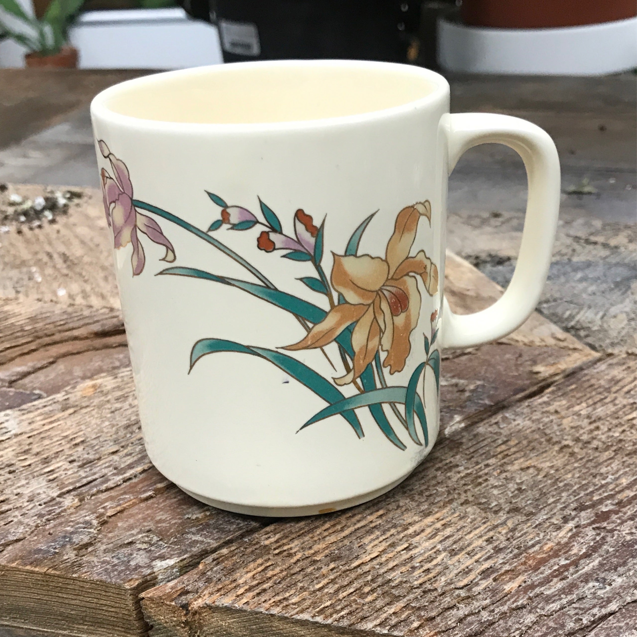 Vintage Mug Pot | A Modern Plantsman