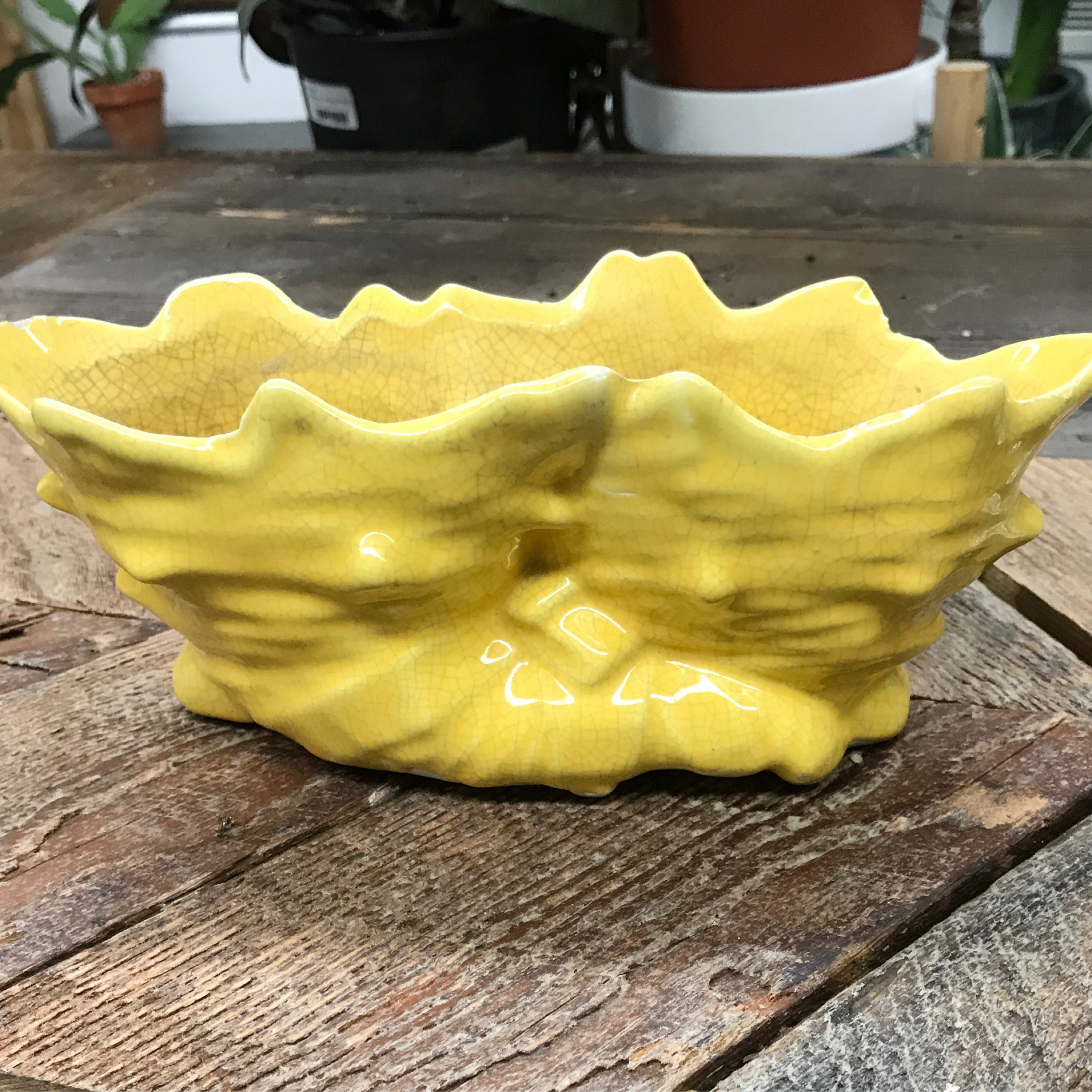 Antique Long Yellow Ceramic Pot | A Modern Plantsman