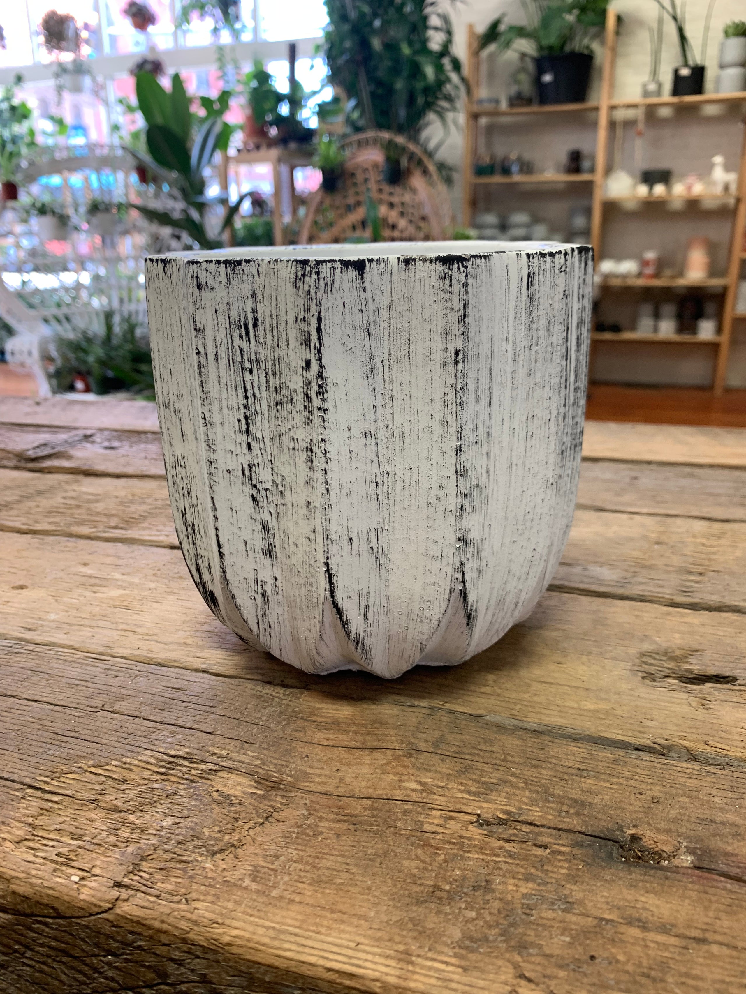 Lotus planter | A Modern Plantsman