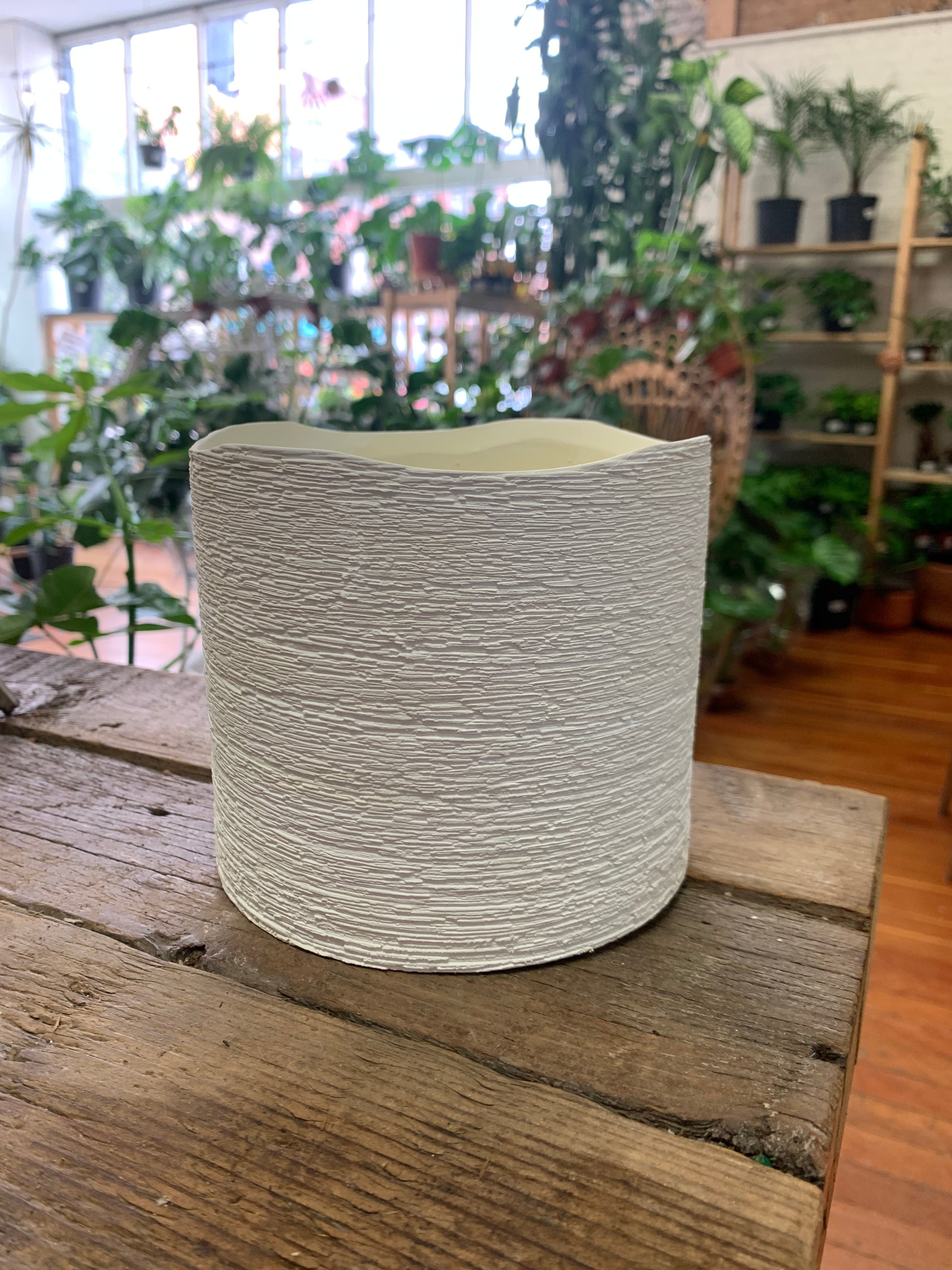 Delphi pot | A Modern Plantsman
