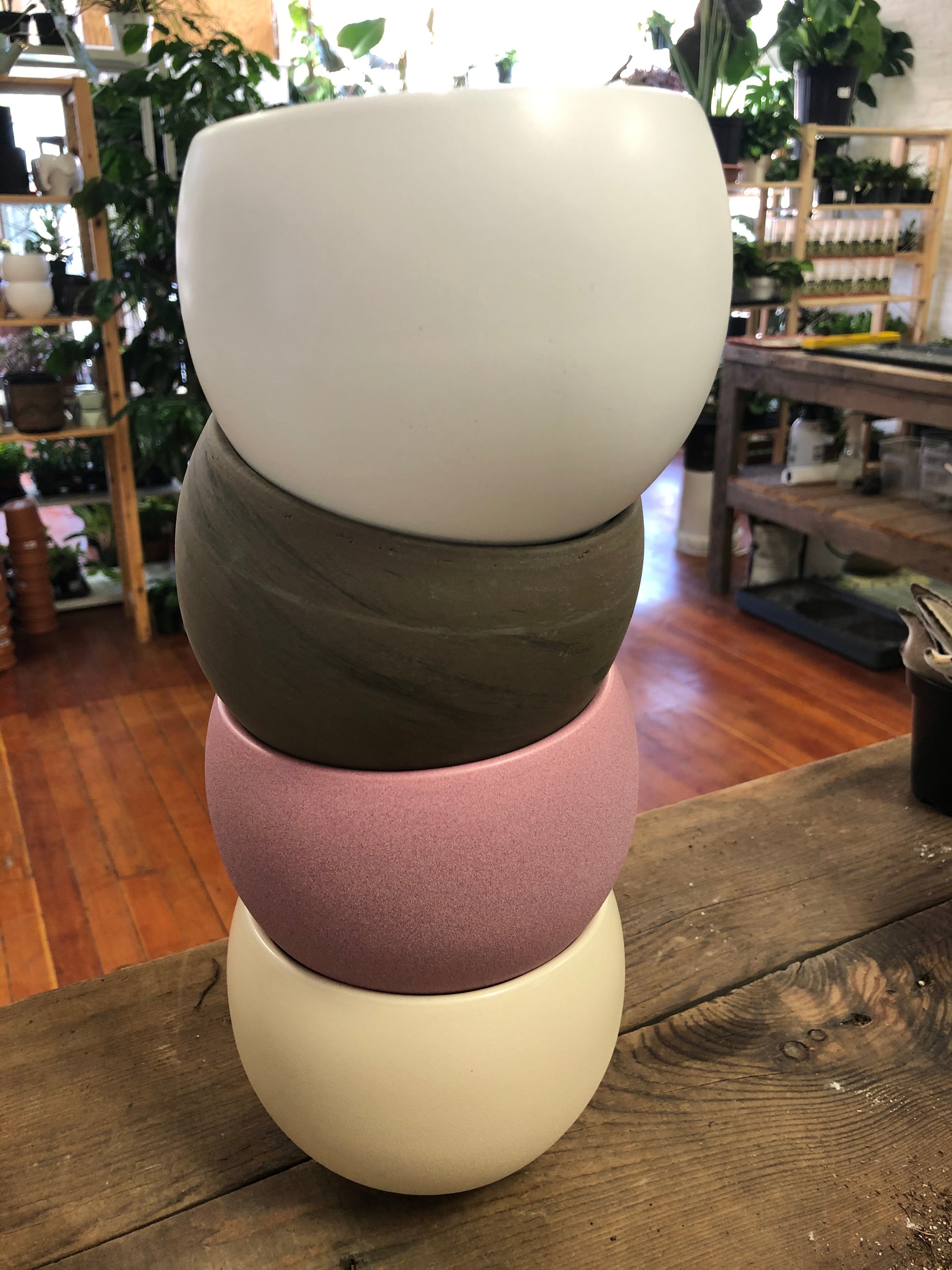 Luna Sphere | A Modern Plantsman