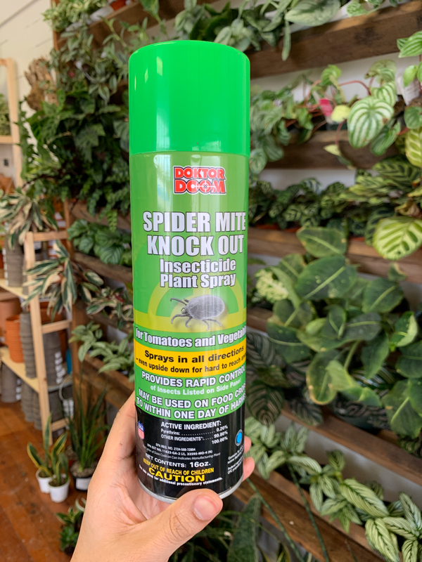 Doctor Doom Spider Mite Knockout | A Modern Plantsman