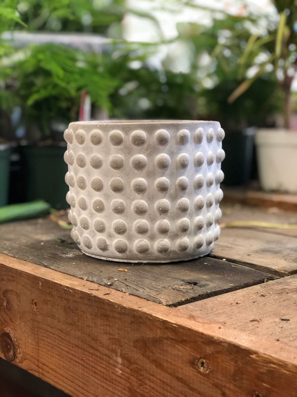 Stone Geo Pot | A Modern Plantsman