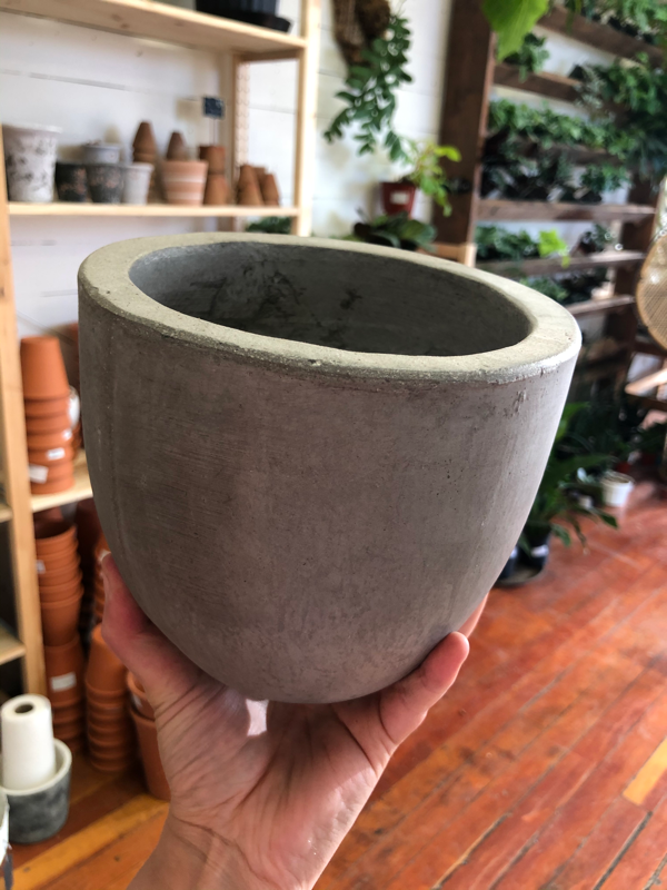 Grey Newport 6” Pot | A Modern Plantsman