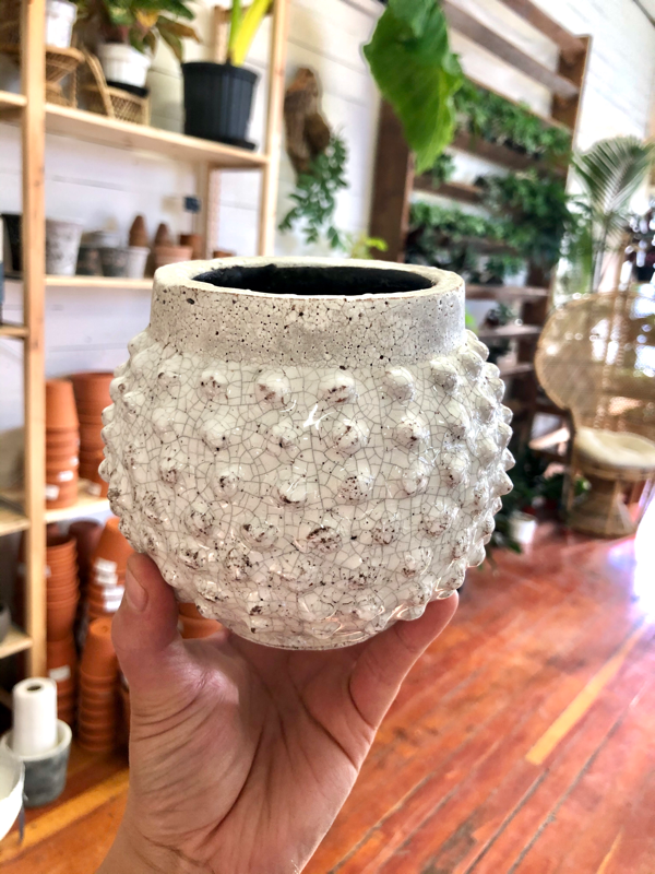 Texture Pot | A Modern Plantsman