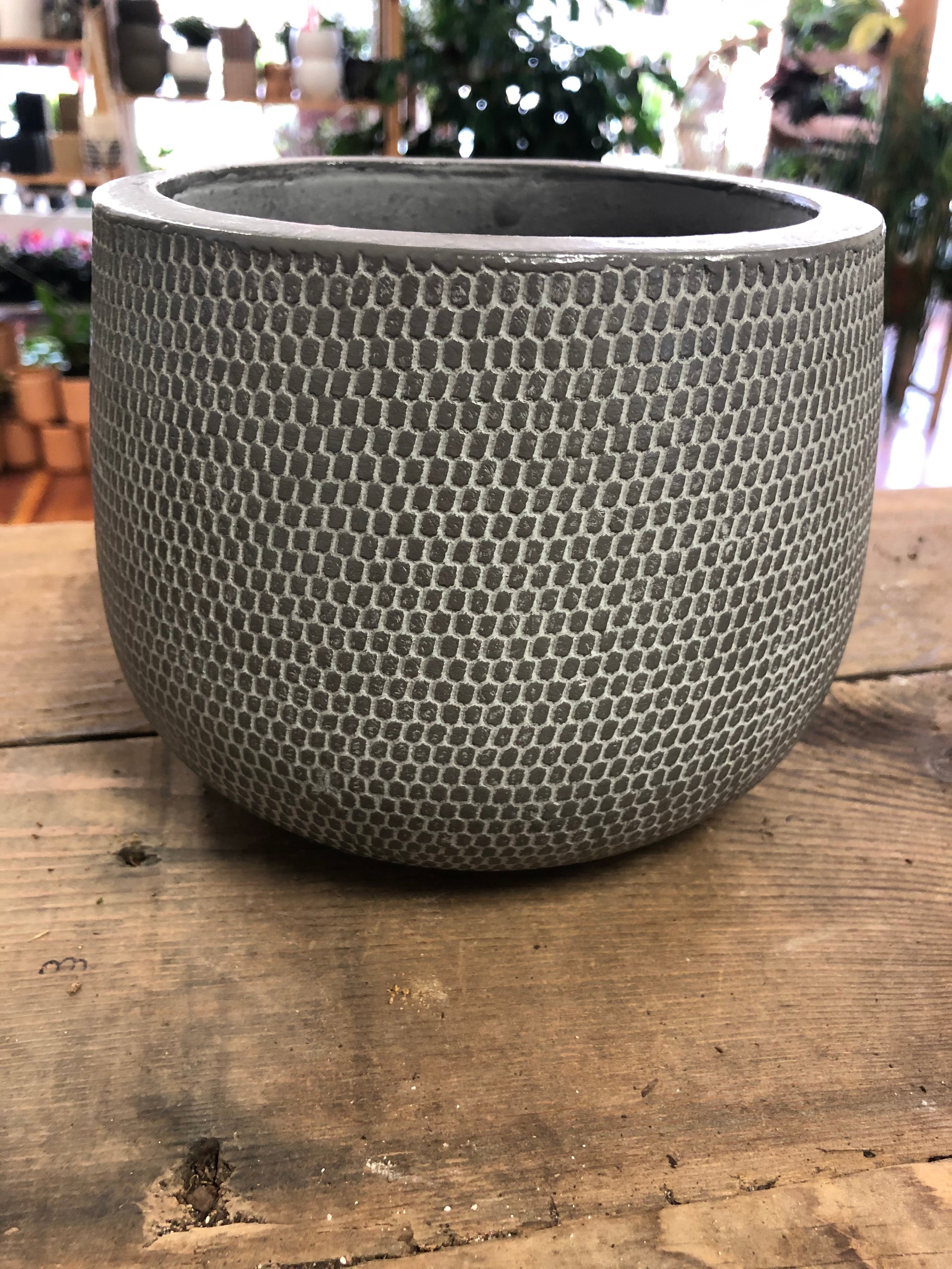Grey Mason Planter | A Modern Plantsman