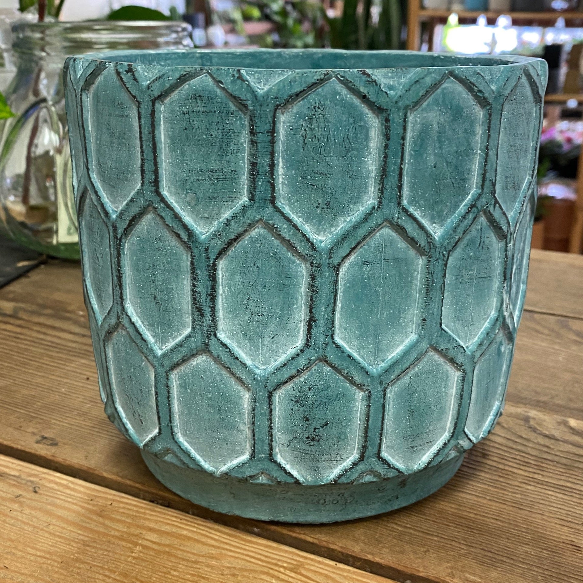 Diamond Sea Pot | A Modern Plantsman